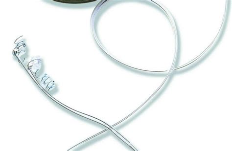 Vns Therapy The Epilepsy Network Ten