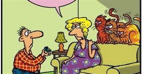 Cat Blocked Album On Imgur