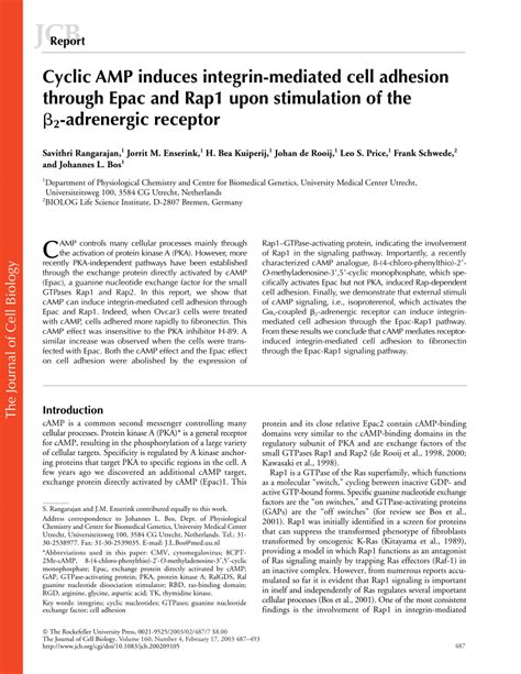 Pdf Cyclic Amp Induces Integrin Mediated Cell Adhesion Through Epac And Rap1 Upon Stimulation