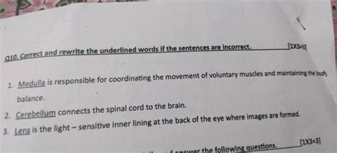 Q10 Correct And Rewrite The Underlined Words If The Sentences Are Incorr
