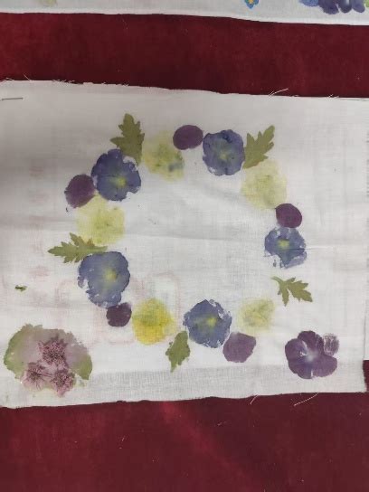 拓印塑春形化工与印染工程学院举办植物拓印创意活动（图） 化工与印染工程学院