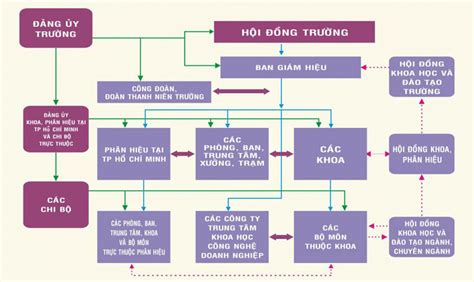 Cơ Cấu Tổ Chức