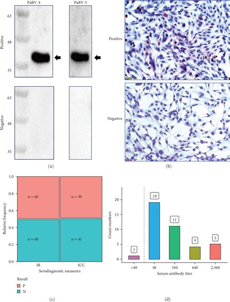 Figure 1 From Serological Surveillance And Risk Factor Analysis For