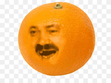Annoying Orange Png Images Pngwing