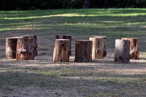 Tunggul Pohon Api Unggun Kayu Foto Gratis Di Pixabay Pixabay