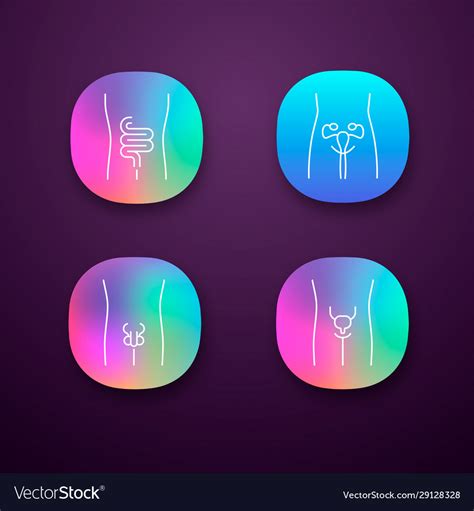 Healthy Human Organs App Icons Set Intestines Vector Image