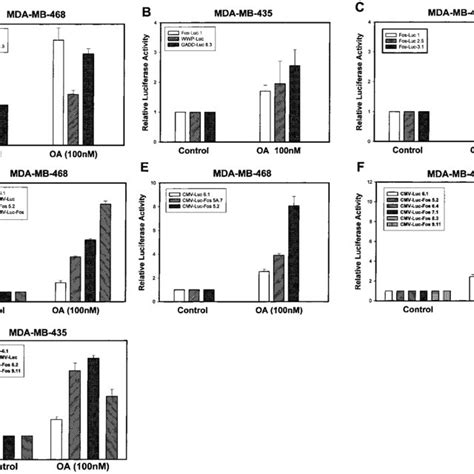 Ap 1 Dependent And Independent Induction Of C Fos Gene By Oa