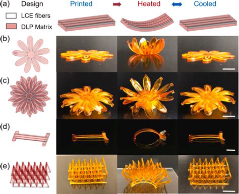 Several Soft Robot Prototypes Printed With A Dlp Diw Hybrid Method