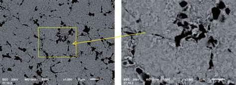 The Sem Micrograph Of The Composites With 8 Vol Tib 2 After Hp Ht