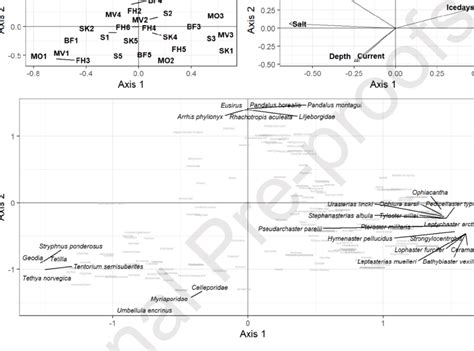 Results Of The Rlq Analysis Loadings Along The First And Second Rlq