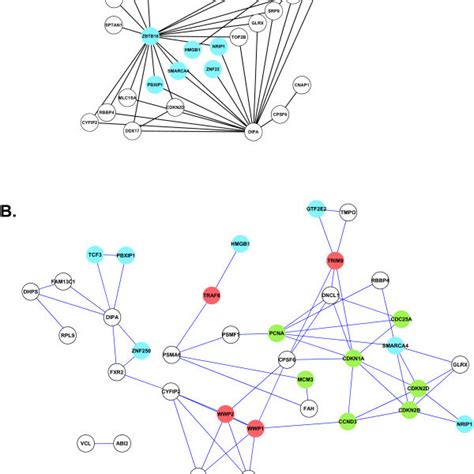Networks Arising From A Bayesian Network Analysis Of Gene Expression Download Scientific
