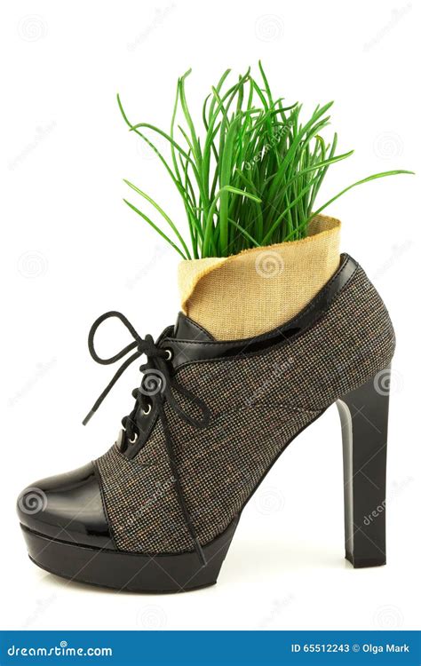 Spring Creative Concept With Fresh Grass And Boot With High Heel Stock