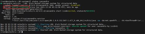 install cassandra in centos linux ostechnix
