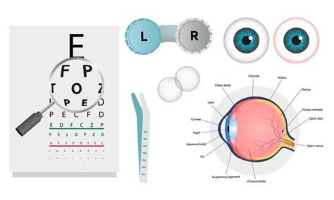Premium Vector Ophthalmology Oculist Set Vision Correction Eye