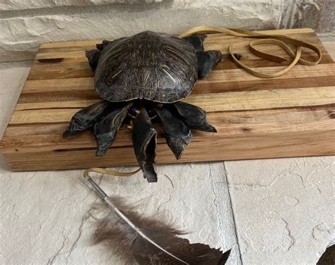Decorative Native American Turtle Shell With Feet ~ Made For Hanging Or Tabletop ~ Unique Etsy