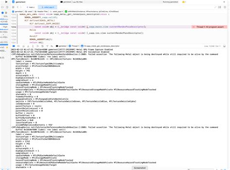 failed assertion when resizing window on macos metal backend · issue
