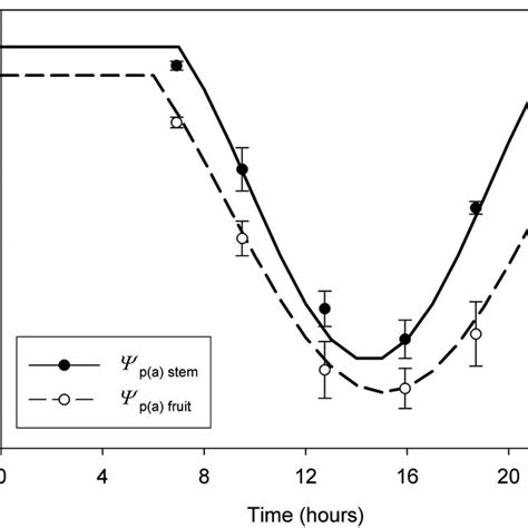 Apoplasmic Pressure Potentials Of Actinidia Chinensis ‘hort16a Fruit