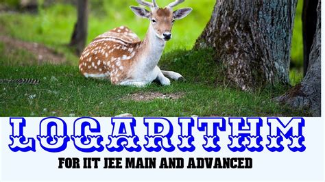 Logarithm Iit Jee Practice Youtube