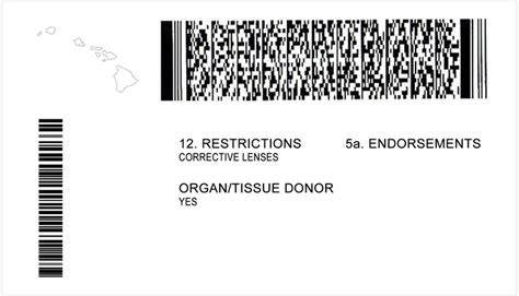 Mclovin Drivers License Custom With Your Photo