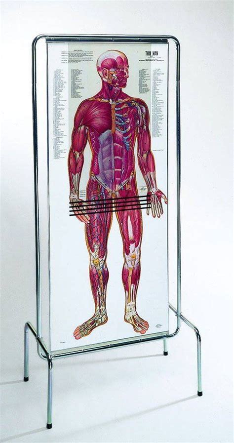The Anatomy Of A Man Dc Anatomy Of A Metahuman Review Batman News