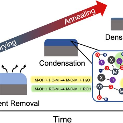 A Scheme Of The Sol Gel Metal Oxide Conversion Process From Liquid Download Scientific