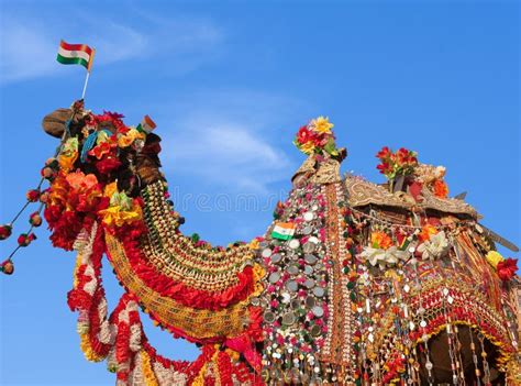 Beautiful Amusing Decorated Camel On Bikaner Camel Festival In