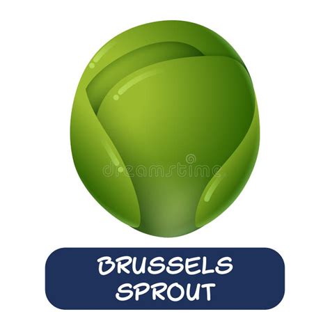Brussel Sprout Character Stock Illustrations 8 Brussel Sprout Character Stock Illustrations