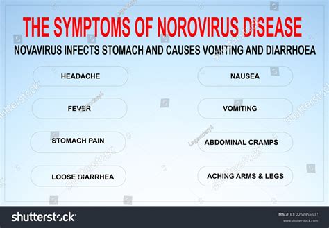 Symptoms Norovirus Infection Vector Illustration Medical Stock Vector