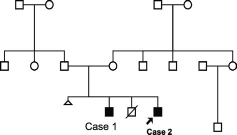 Three Generation Pedigree Download Scientific Diagram