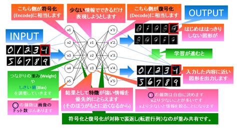 自己符号化器の実験まとめ クーの自由研究