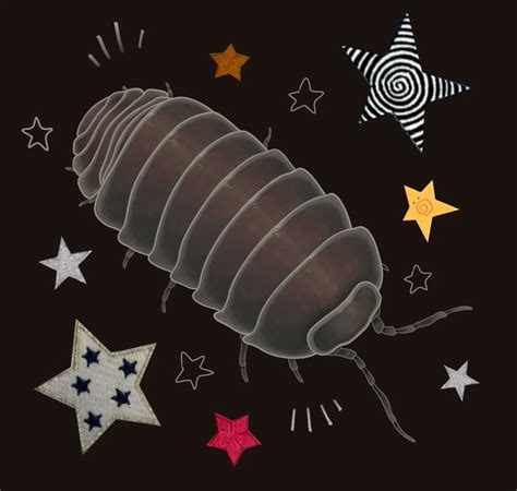 Silly Pill Bug In 2025 Bug Art Funky Art Cool Bugs