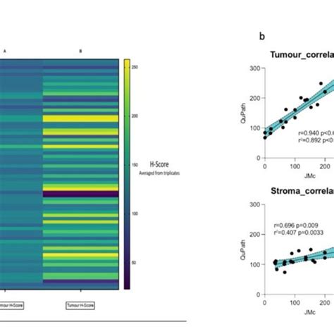 Figure S3 Quantitative Pten Ihc A Heatmap With Average H Score In Download Scientific Diagram