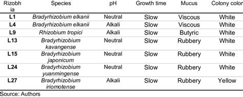 Phenotypic And Physiological Characteristics Of Rhizobia Strains