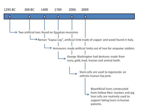 Timeline Biotechnology Biomedical Engineering