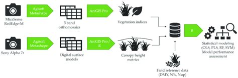 Schematic Workflow Of Data Acquisition Processing Feature Extraction Download Scientific