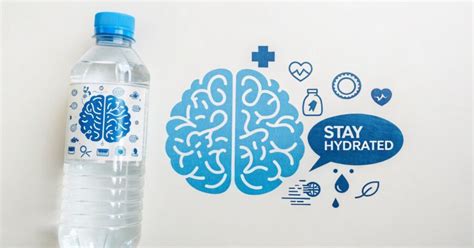 Hydration And Cognitive Function Boost Your Brain With Water The Biohack