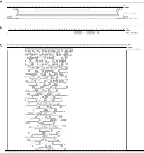 Direct Pacbio Sequencing Method And Application For Different Types Of