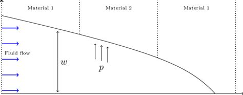 Schematic Illustrating One Quadrant Of A Cross Section Of The Radial Download Scientific