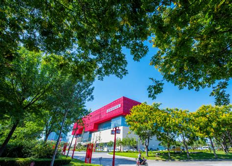 2022，这里处处风景莱州力量单位