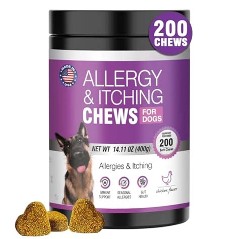 Top 5 Otc Allergy Meds For Dogs A Vet Approved Guide Animalspick