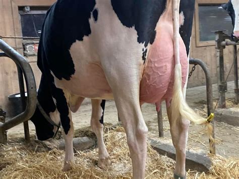 Smygwaty Smygwatys Unix Pam Vg 89 3yr Facebook