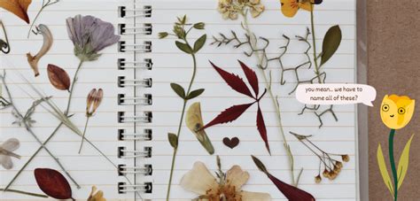 The Language Of Science Understanding Binomial Nomenclature HerbSpeak