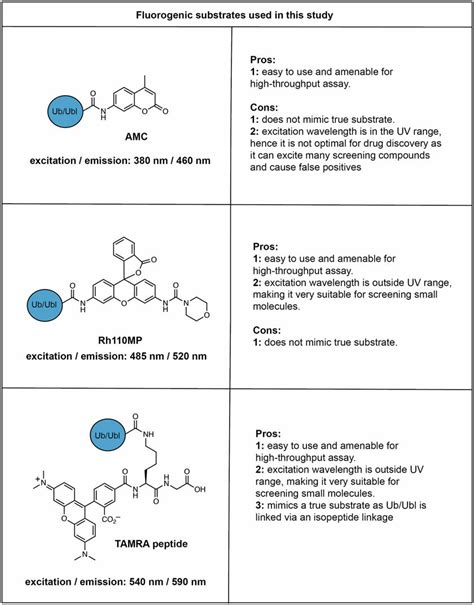 Fluorophore Database At Barbara Slye Blog