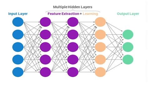Computer Vision Deep Learning Cnn Yolo And Opencv Projects By