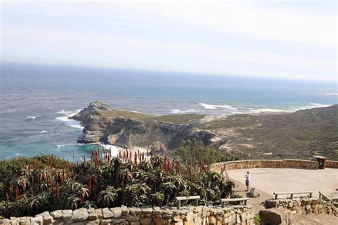 테이블 마운틴 국립공원 세계에서 가장 오래된 산 중 하나 서울 프레스seoul Press