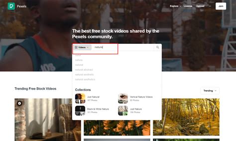 Pexels Videos Your Go To Source For Free Stock Footag