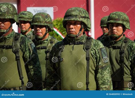 Mexican Soldiers Military Forces During A Civic Ceremony On The Flag