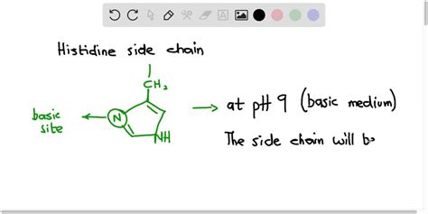 Solvedidentify The Ionization State Of Histidine That Predominates At