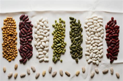 Premium Photo Artfully Lined Up Assorted Beans Gracefully Adorn A White Canvas An Aesthetic