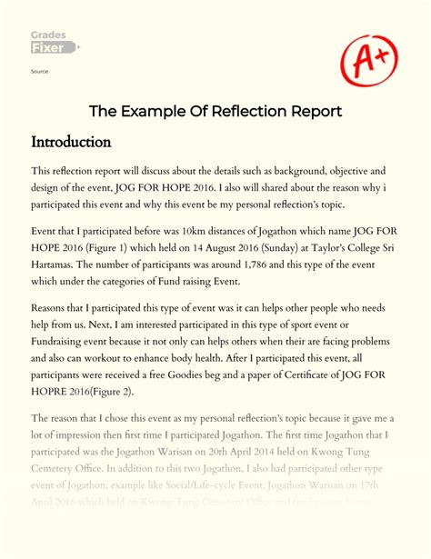 The Example Of Reflection Report Essay Example 1939 Words